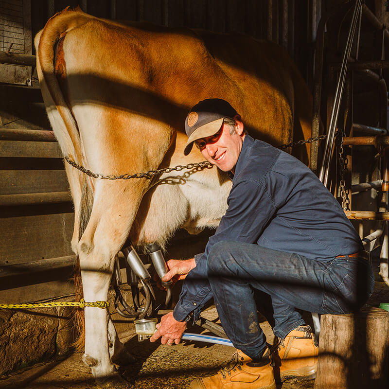 Celebrating 150 Years | Tommerup's Dairy Farm